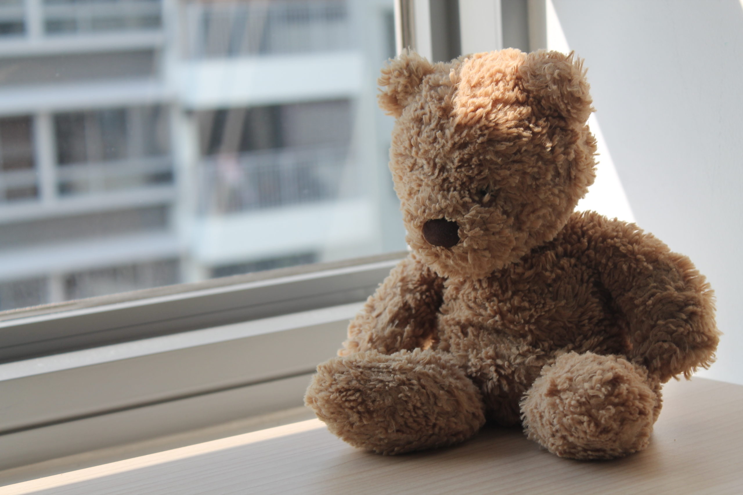 Families are going on 'bear hunts' to ease the boredom of social distancing
