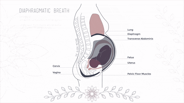 How Diaphragmatic Breathing Helps with Postpartum Recovery - Motherly