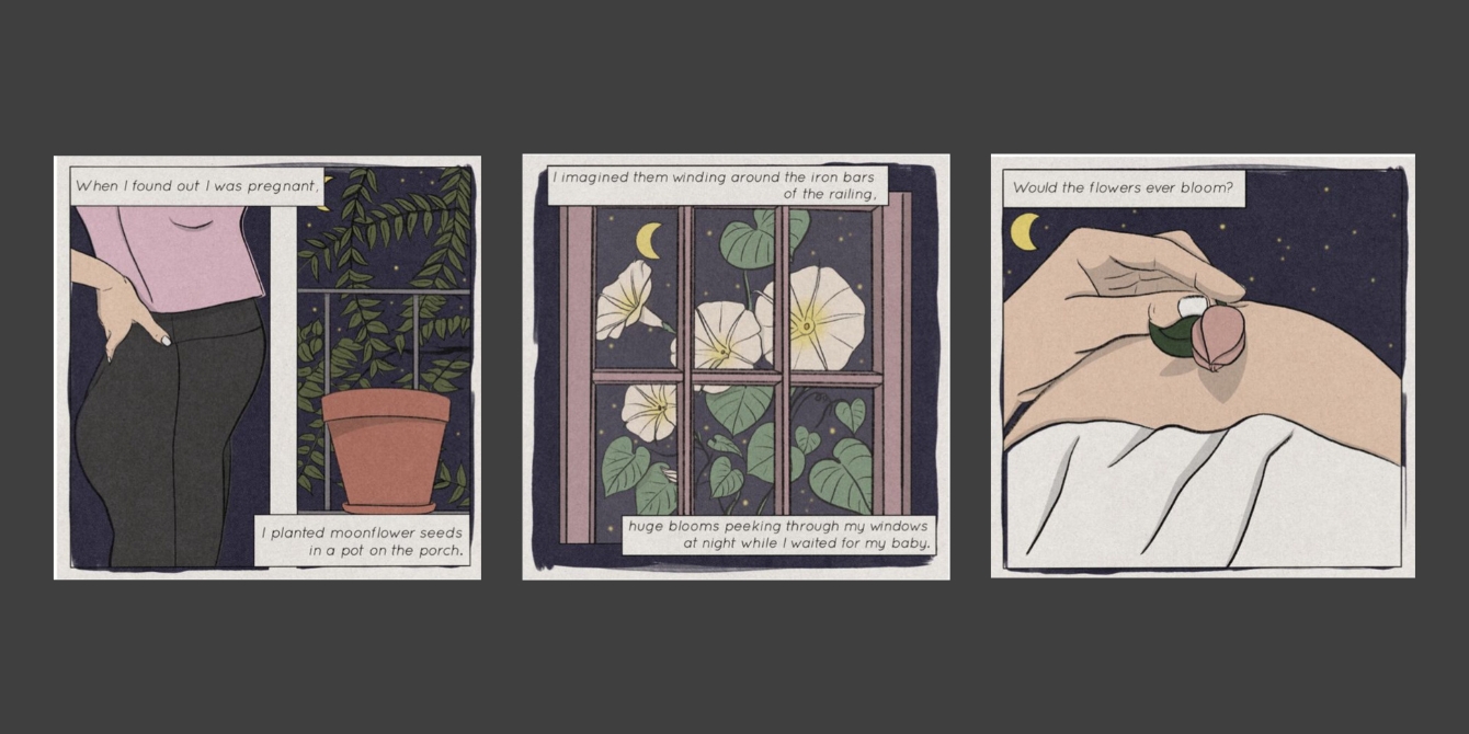 Why I Love Moonflowers - Motherly